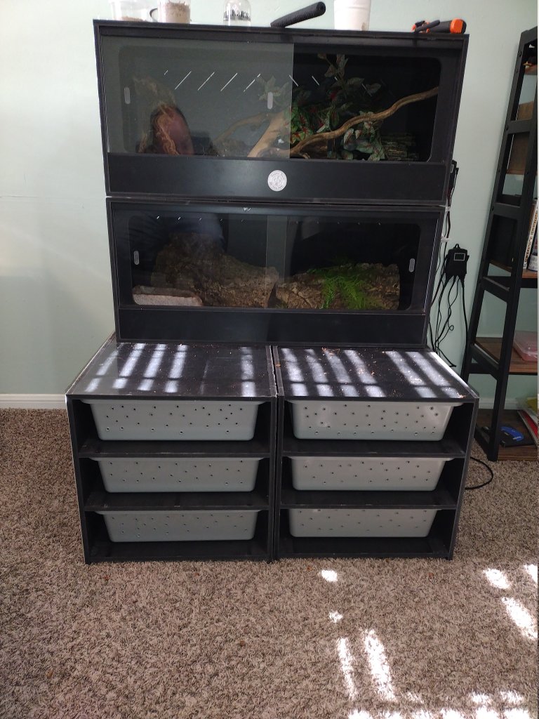 Reptile enclosures for snakes | Page 5 | Our Reptile Forum