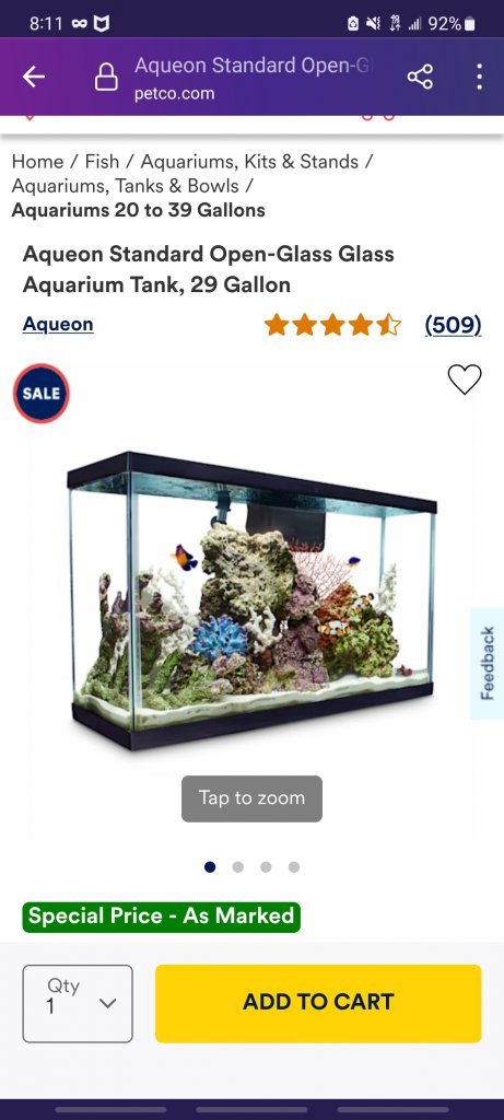 Feed back | Our Reptile Forum